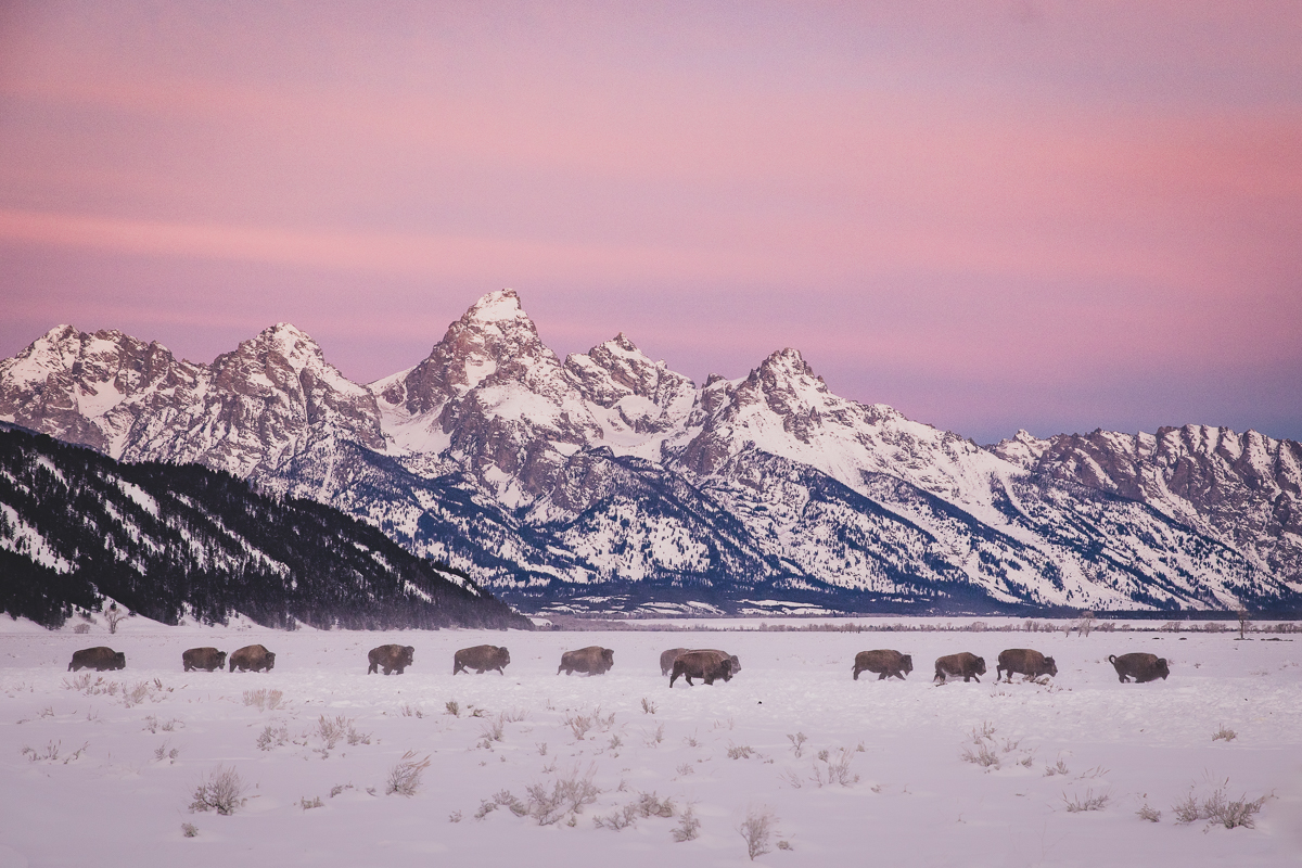 Jackson Hole Resort Reservations